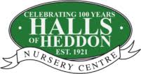 The 2026 Dahlia & Chrysanthemum Season is Beginning - Halls of Heddon